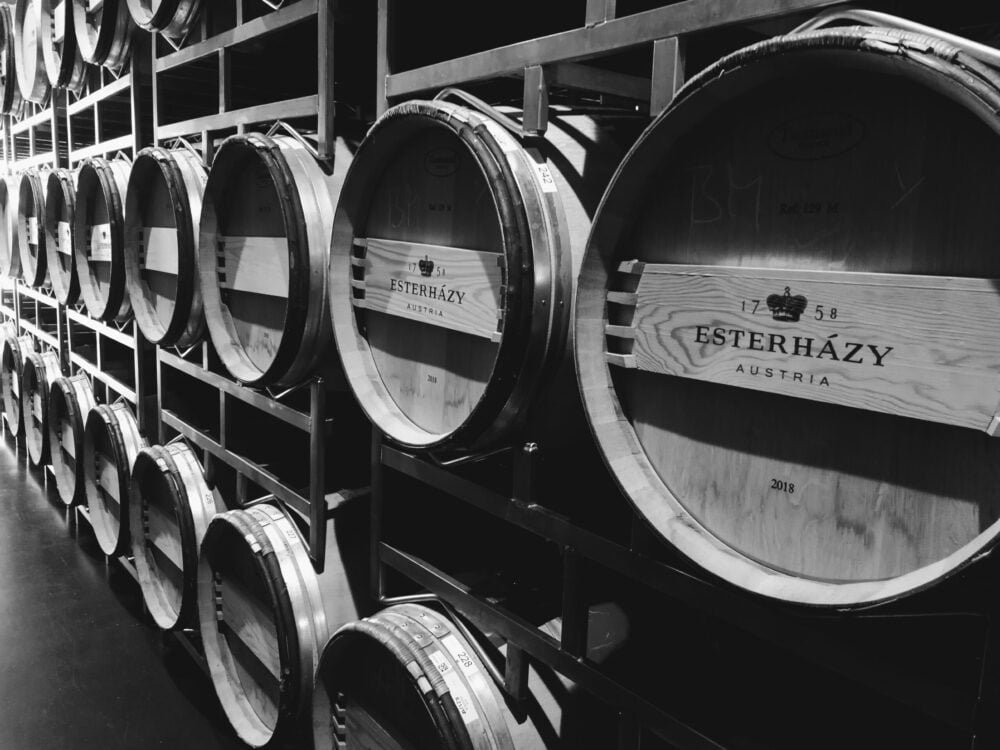 What is Slow Wine? - The Travel Tortoise